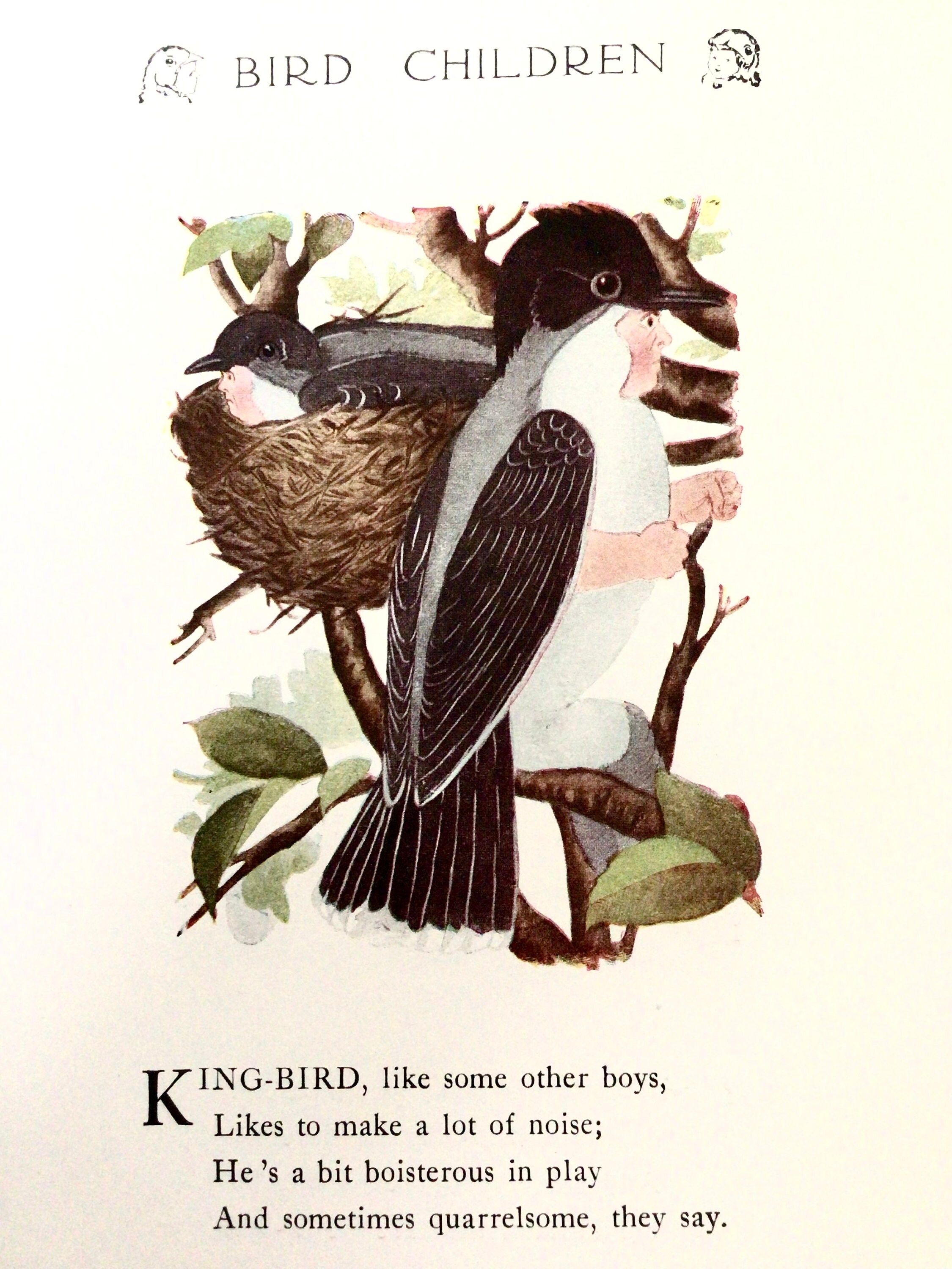 Bird Children, Catbird/king-bird, 2-sided Vintage Bookprints for ...