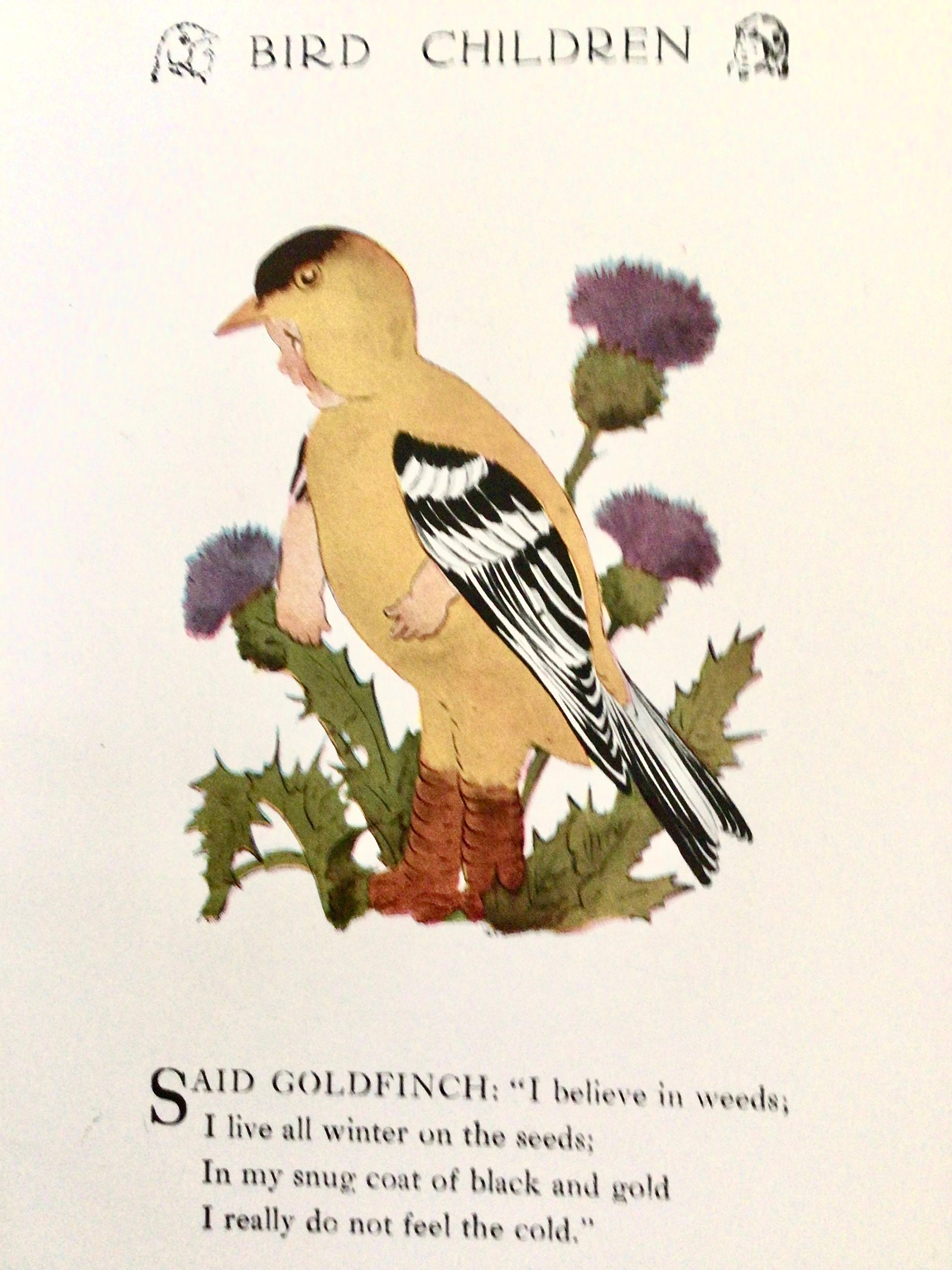 Bird Children, Robin/goldfinch, 2-sided Vintage Bookprints for Framing ...