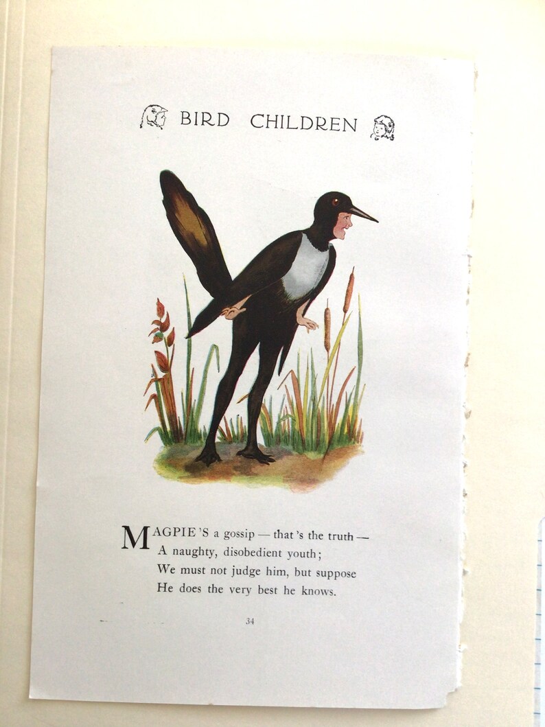 Bird Children, Cardinal/magpie, 2-sided Vintage Bookprints for Framing ...