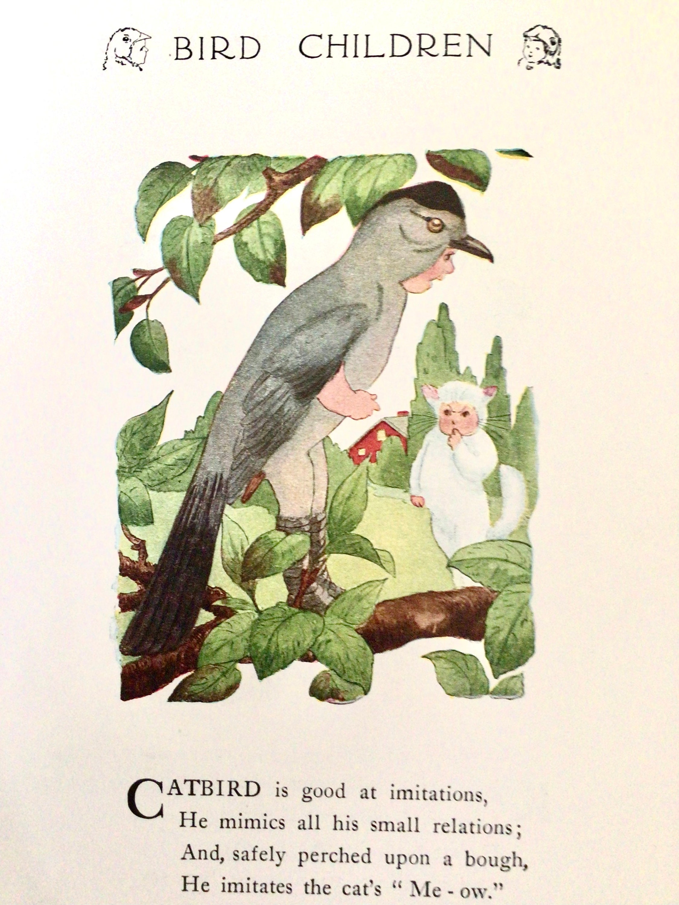 Bird Children, Catbird/king-bird, 2-sided Vintage Bookprints for ...