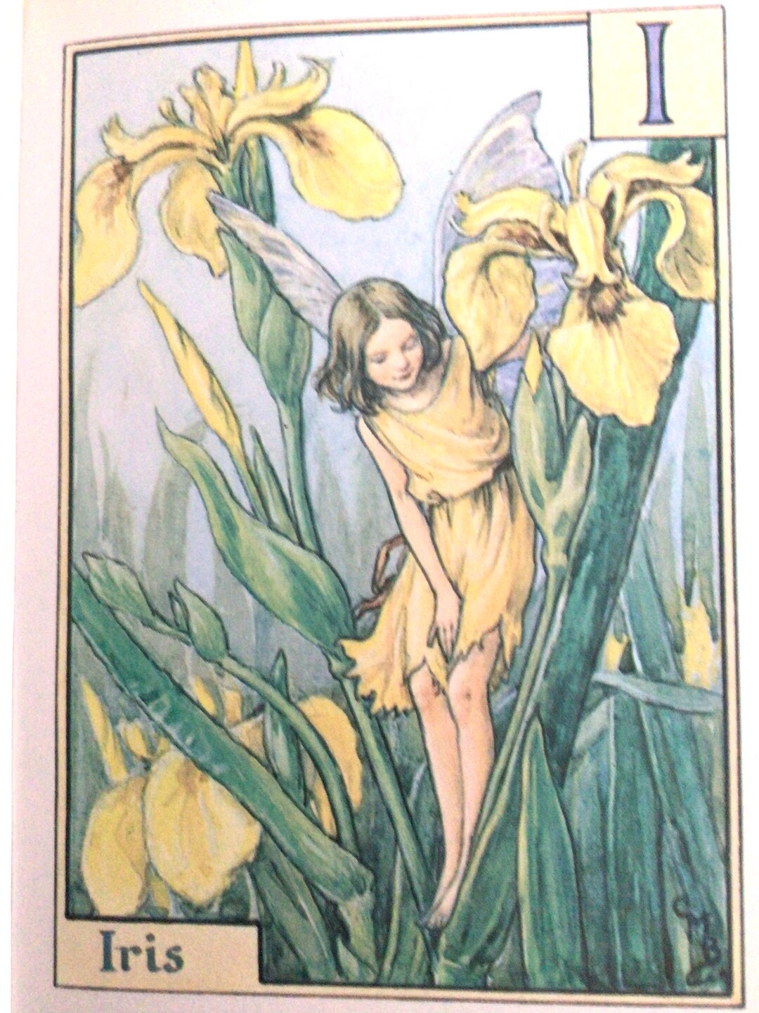 Alphabet Flower Fairies, IRIS, Cicely Mary Barker, Small Bookplate, Unframed Vintage Book Print ...
