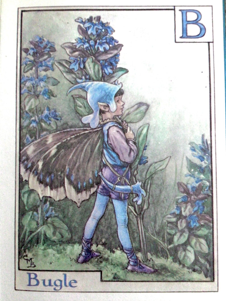 Alphabet Flower Fairies, BUGLE, Cicely Mary Barker, Small Bookplate ...