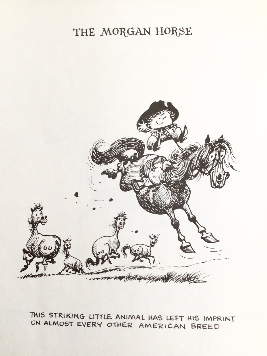 Norman Thelwell, Pony Print, Black & White Bookplate, 2-sided, Cartoon ...