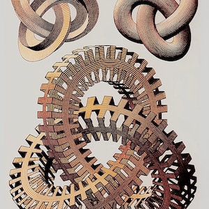 M. C. Escher, Knots, Modern Art, Graphic Art, Unframed Vintage Book ...