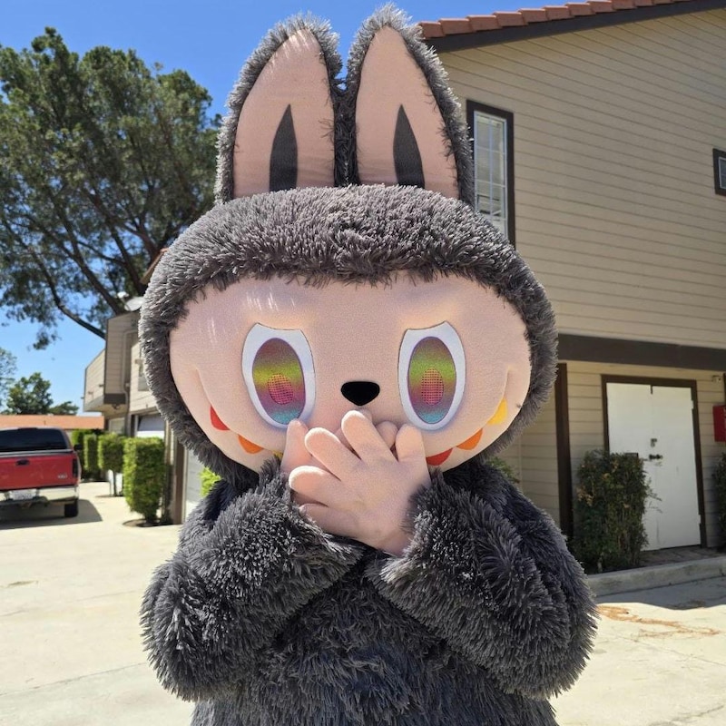 Labubu Costume Human - Etsy