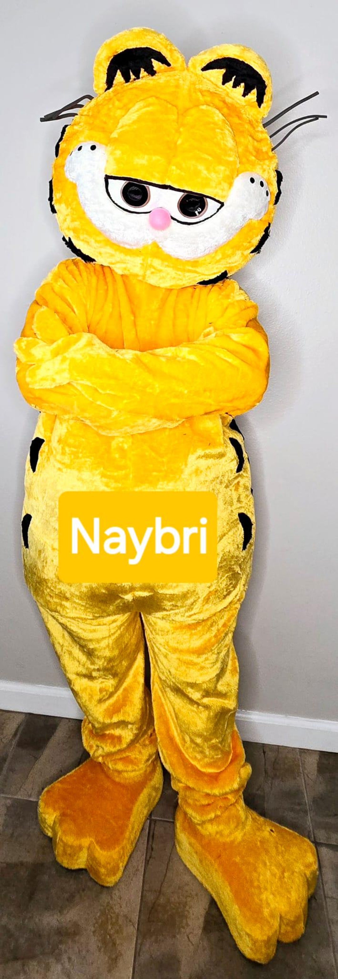 READY TO SHIP Garfield Gato the Cat Mascot - Etsy