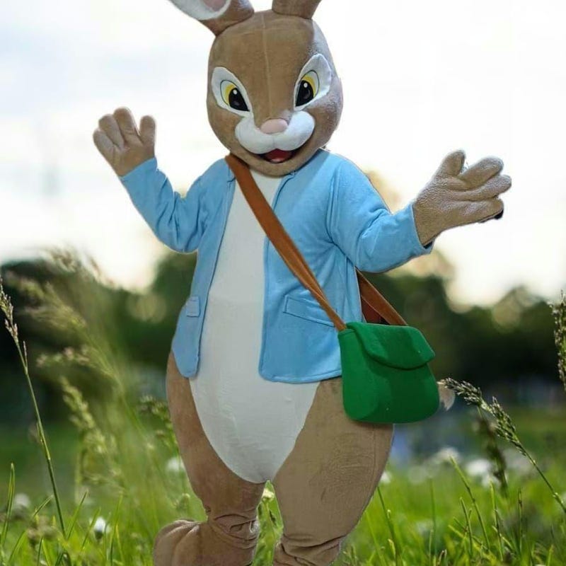 Bunny Costume Women - Etsy