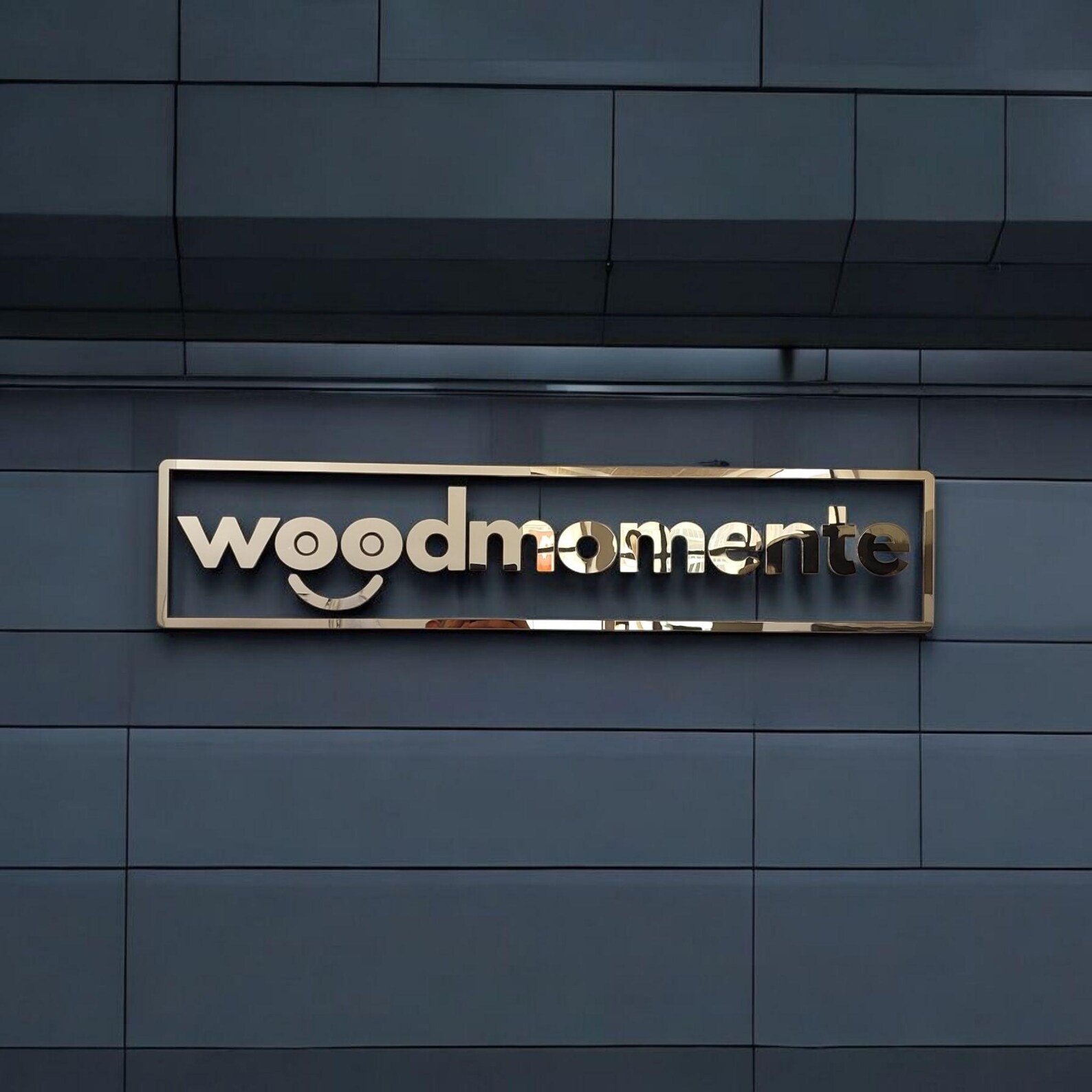Custom Laser Cut, Business Letter, Clinic Sign, Reception Logo,sign ...
