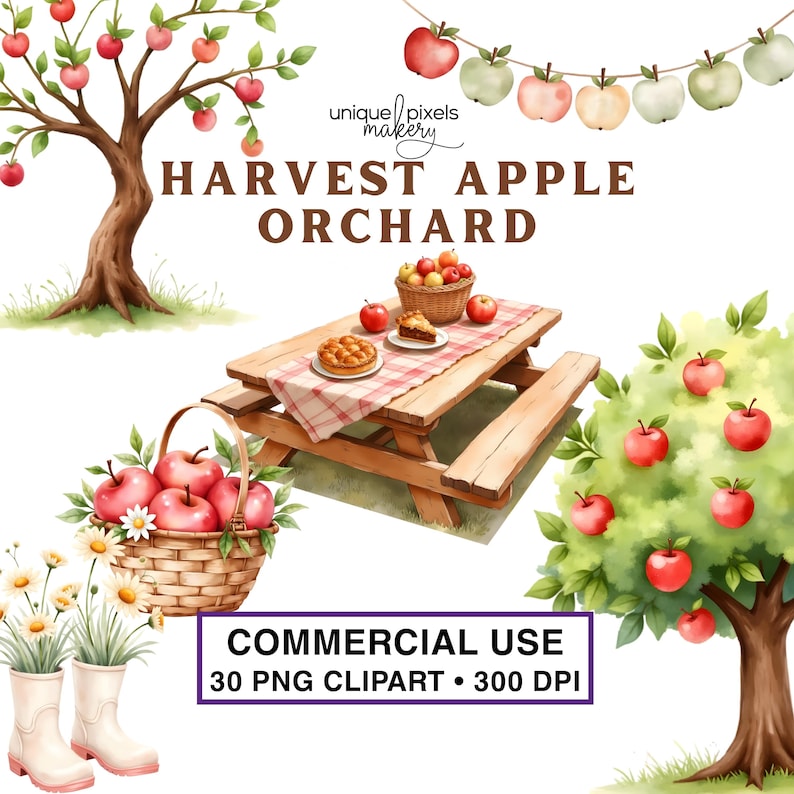 Harvest Apple Orchard Clipart | Fall Apple Picking Transparent PNG ...