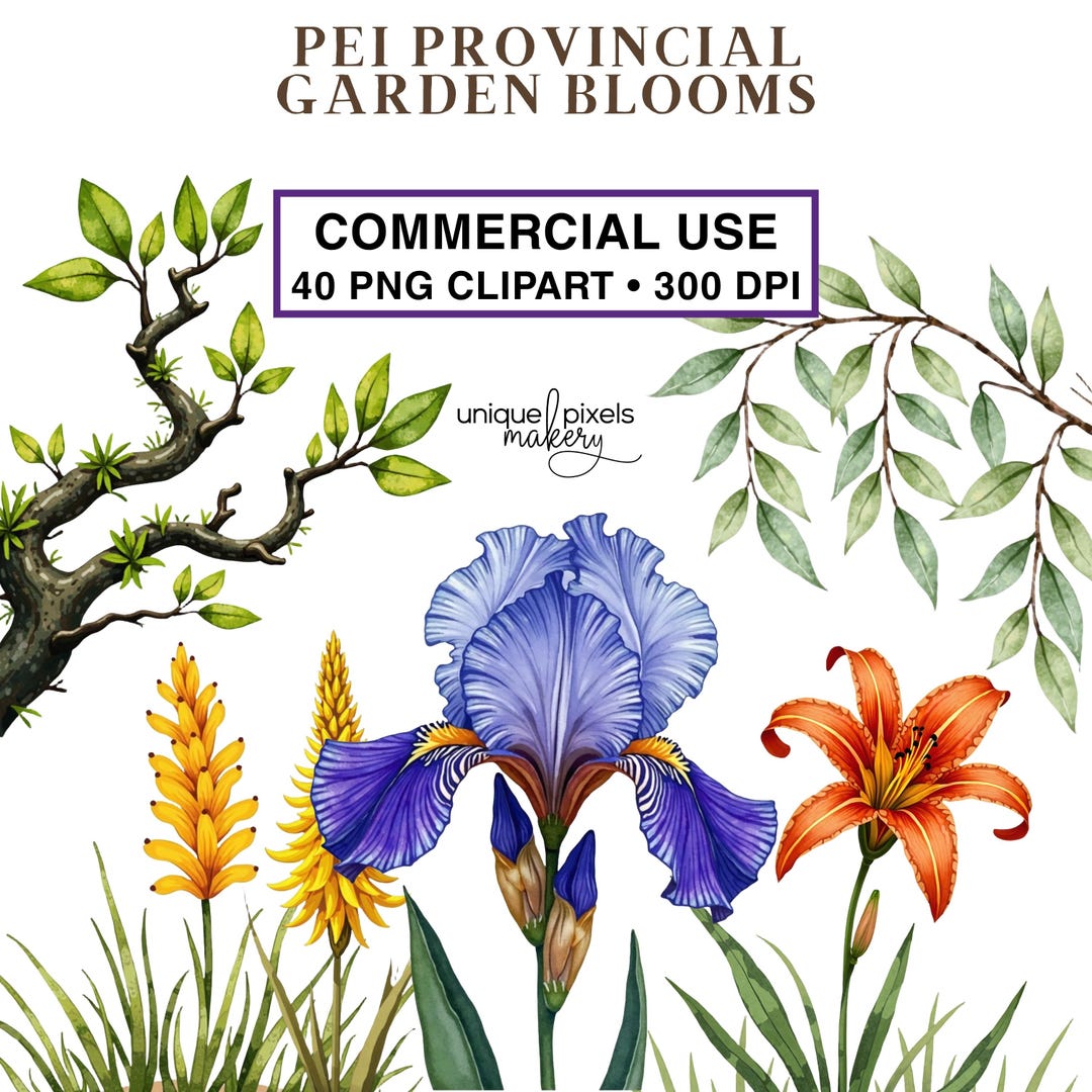 PEI Flowers Clipart PNG | Canadian Botanical Digital PNG | Commercial ...