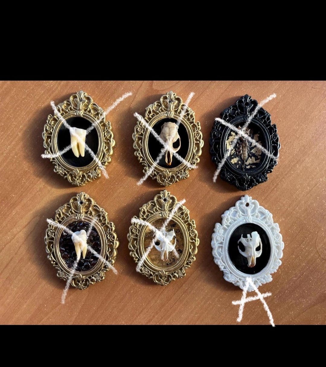 Mini Ornate Frames, Human Molar Teeth, Mouse Skulls, Real Preserved ...
