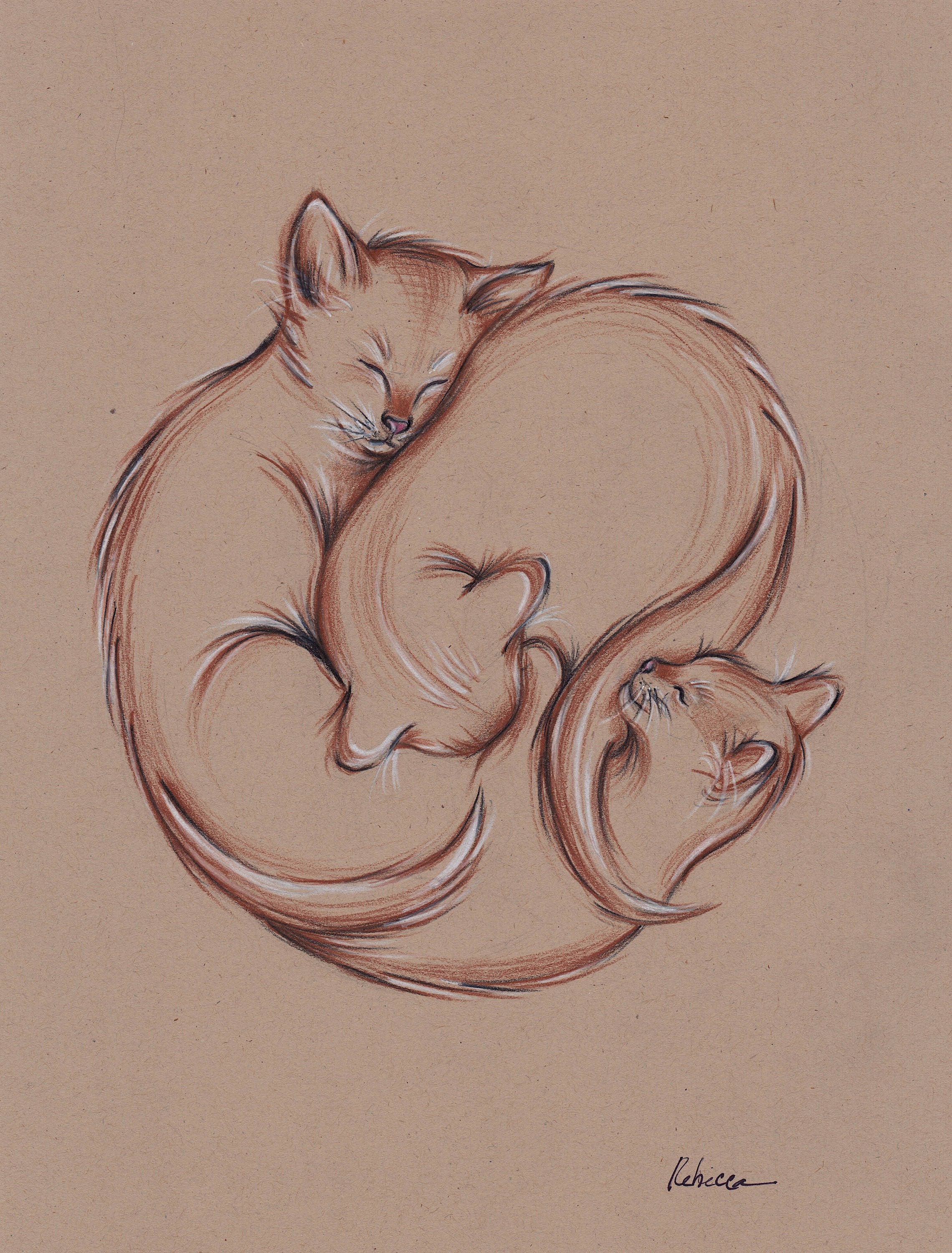 Three Cats Drawing