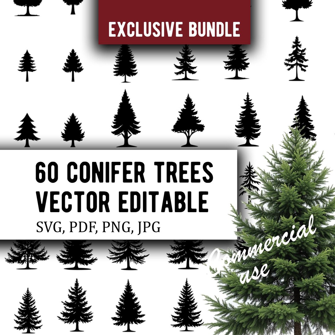 Tree Vector, Tree SVG Icon Bundle, Conifer Tree Vector, Biology Vector ...