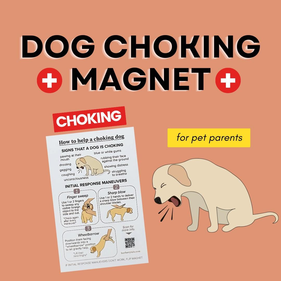 Dog Choking First Aid Magnet: Safety Maneuvers & Demo - Etsy