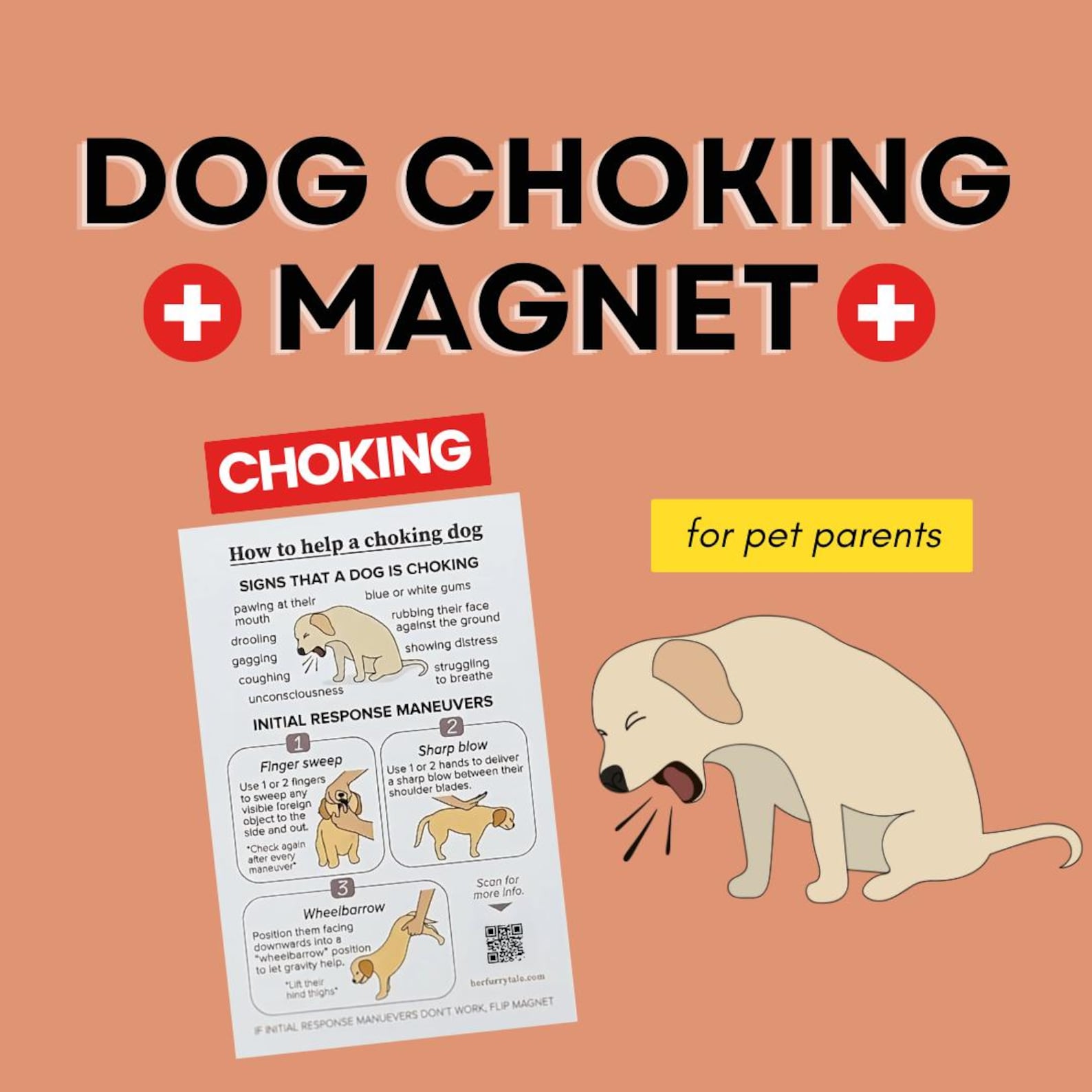 Dog Choking First Aid Magnet: Safety Maneuvers & Demo - Etsy