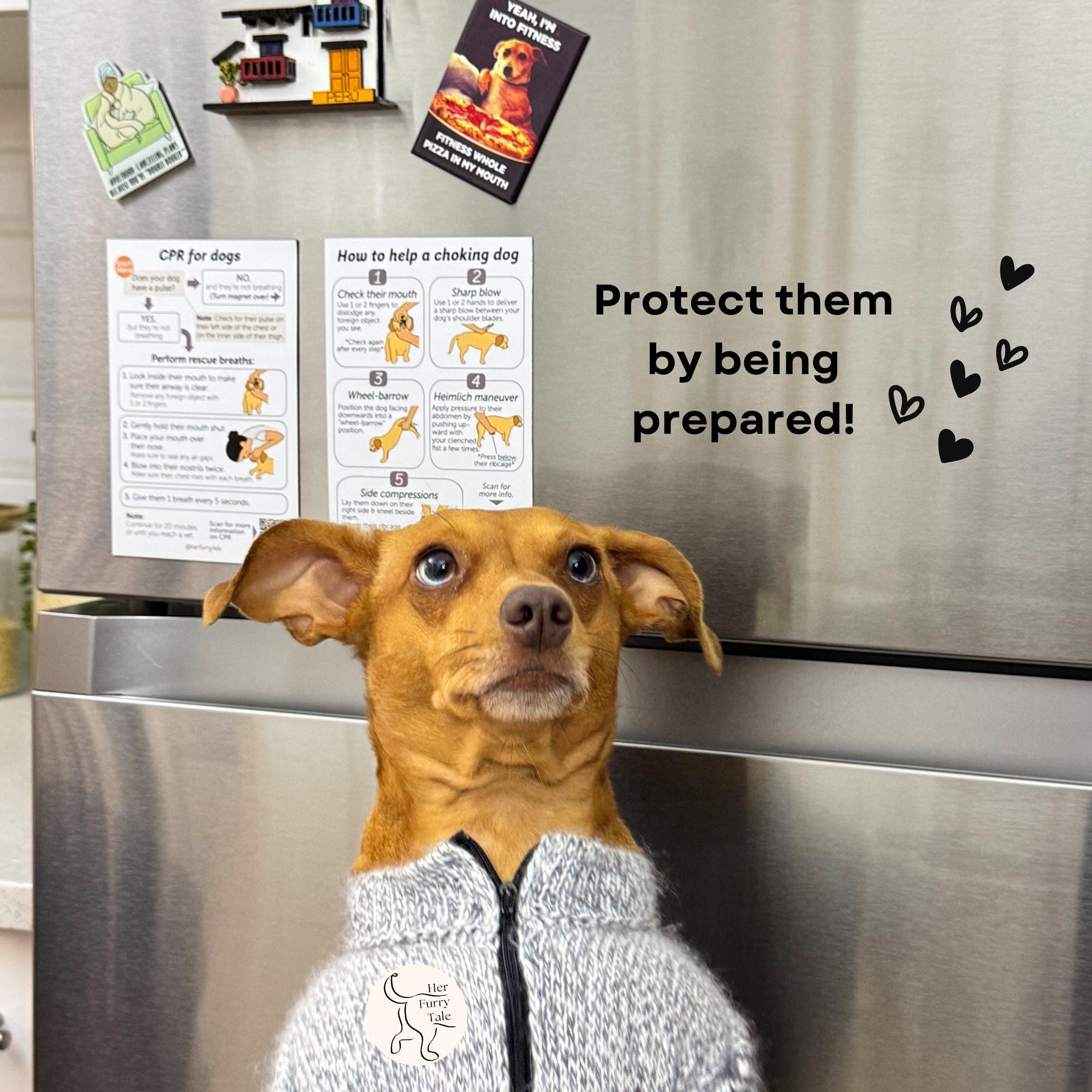 Dog Choking & Bloat First Aid Magnet: Safety Guide - Etsy