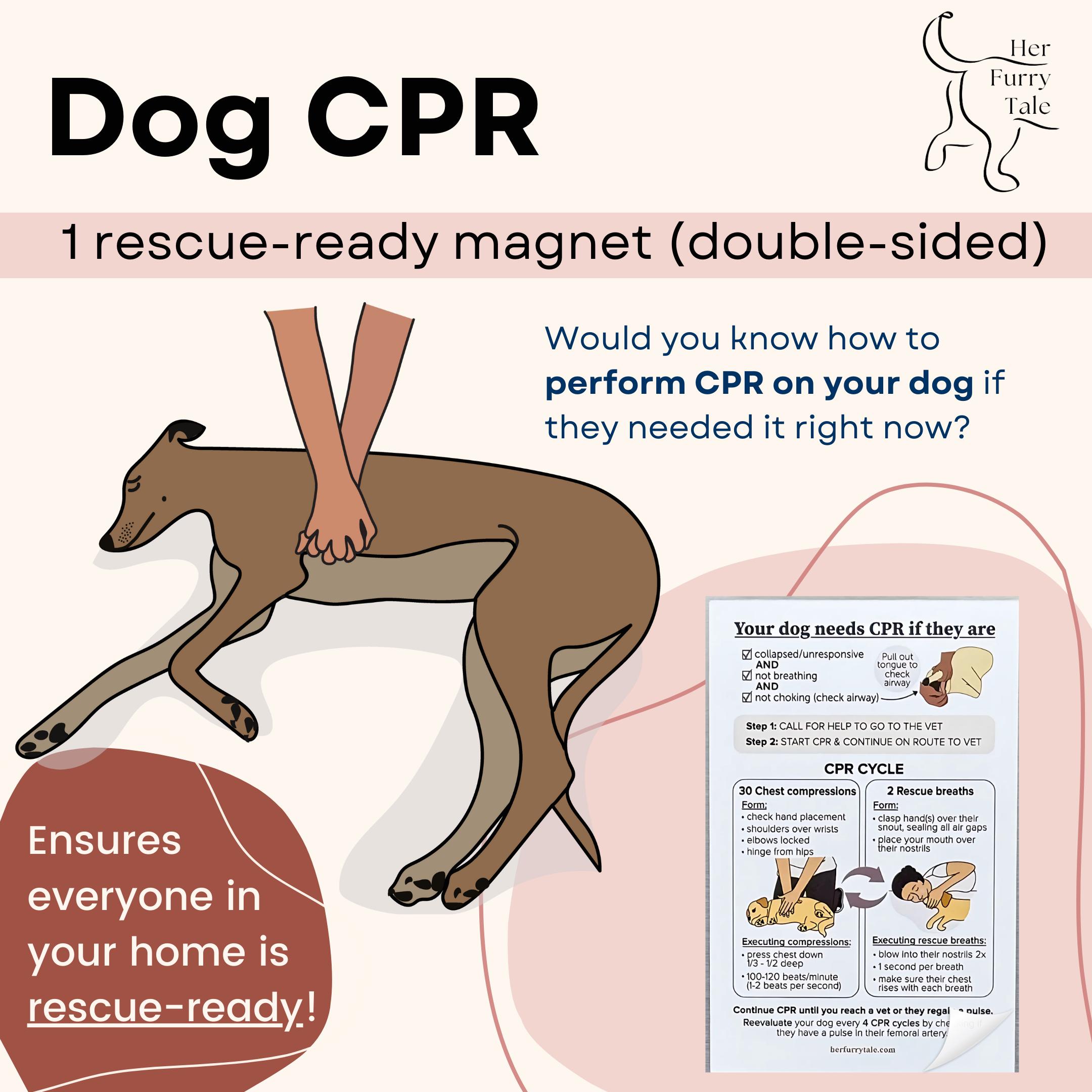 Dog CPR Magnet: First Aid Guide With Video Demo - Etsy