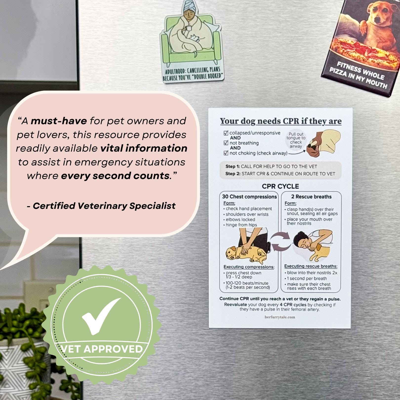 Dog CPR Magnet: First Aid Guide With Video Demo - Etsy
