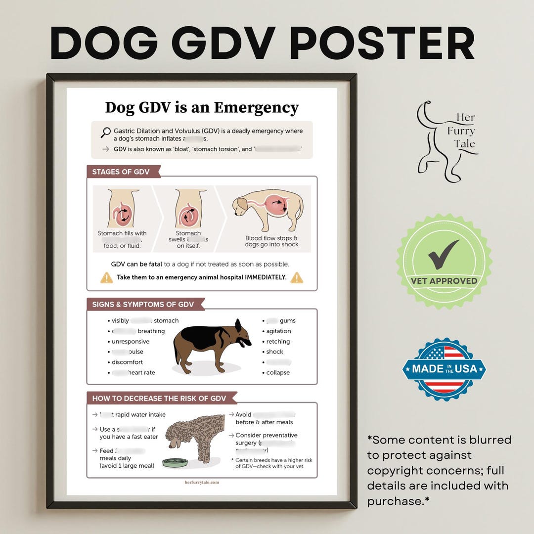 Dog GDV Awareness Poster: Veterinary Emergency Guide for Dog Owners - Etsy