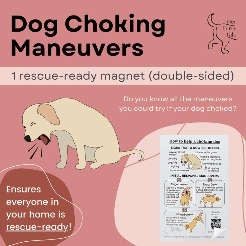 Dog Choking First Aid Magnet: Safety Maneuvers & Demo - Etsy