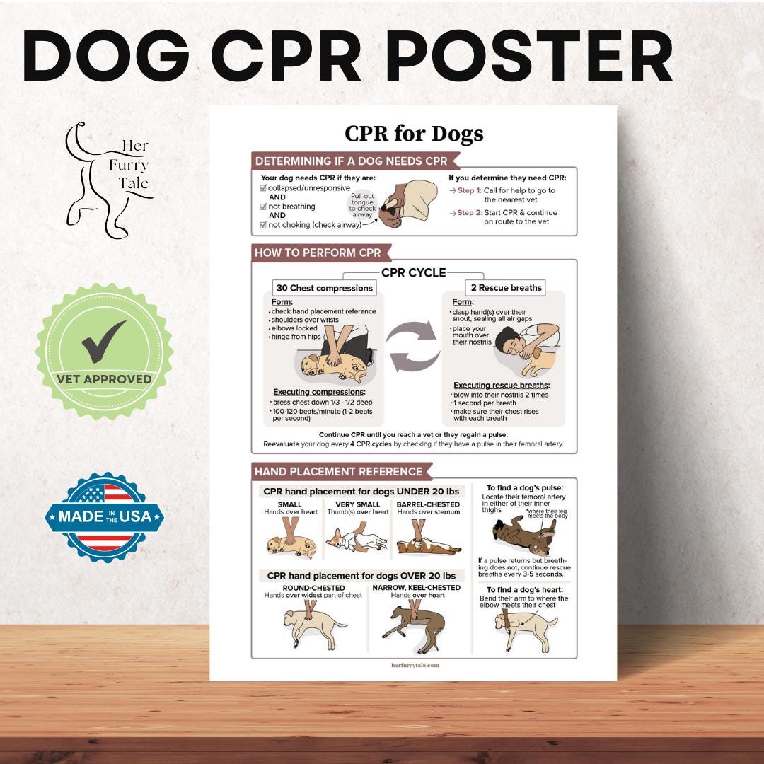 Dog CPR Poster: First Aid & Safety Guide - Etsy