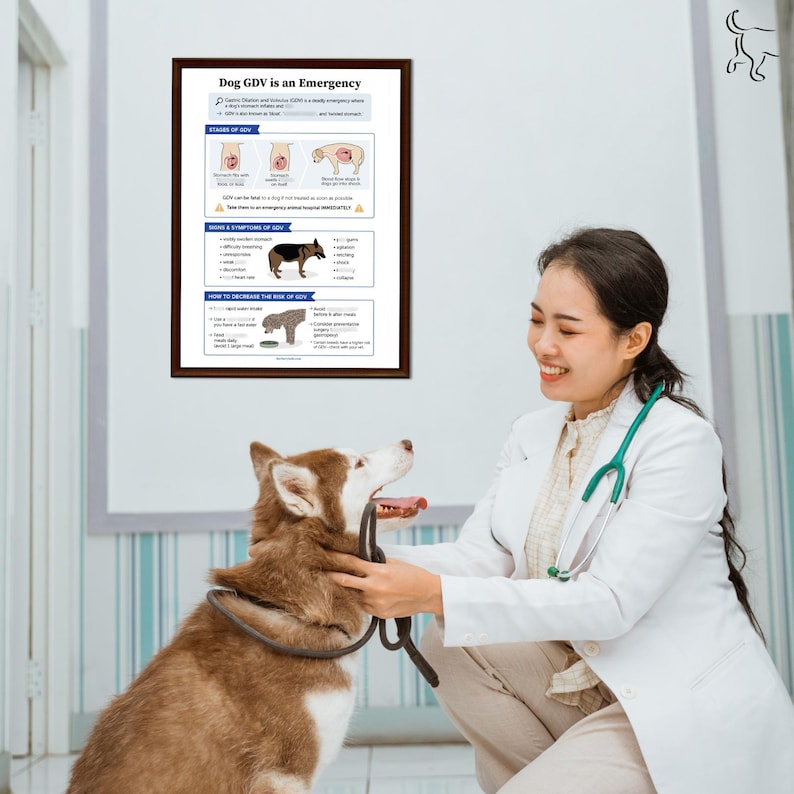 Dog GDV Awareness Poster: Veterinary Emergency Guide for Dog Owners - Etsy