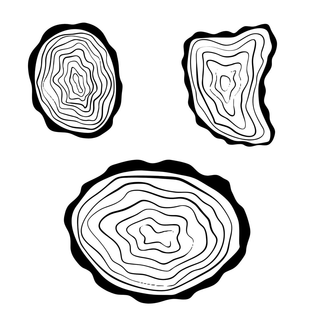 Wood Slice SVG Bundle, Tree Rings Svg, Wood Slice Dxf, Wood Slice Png ...