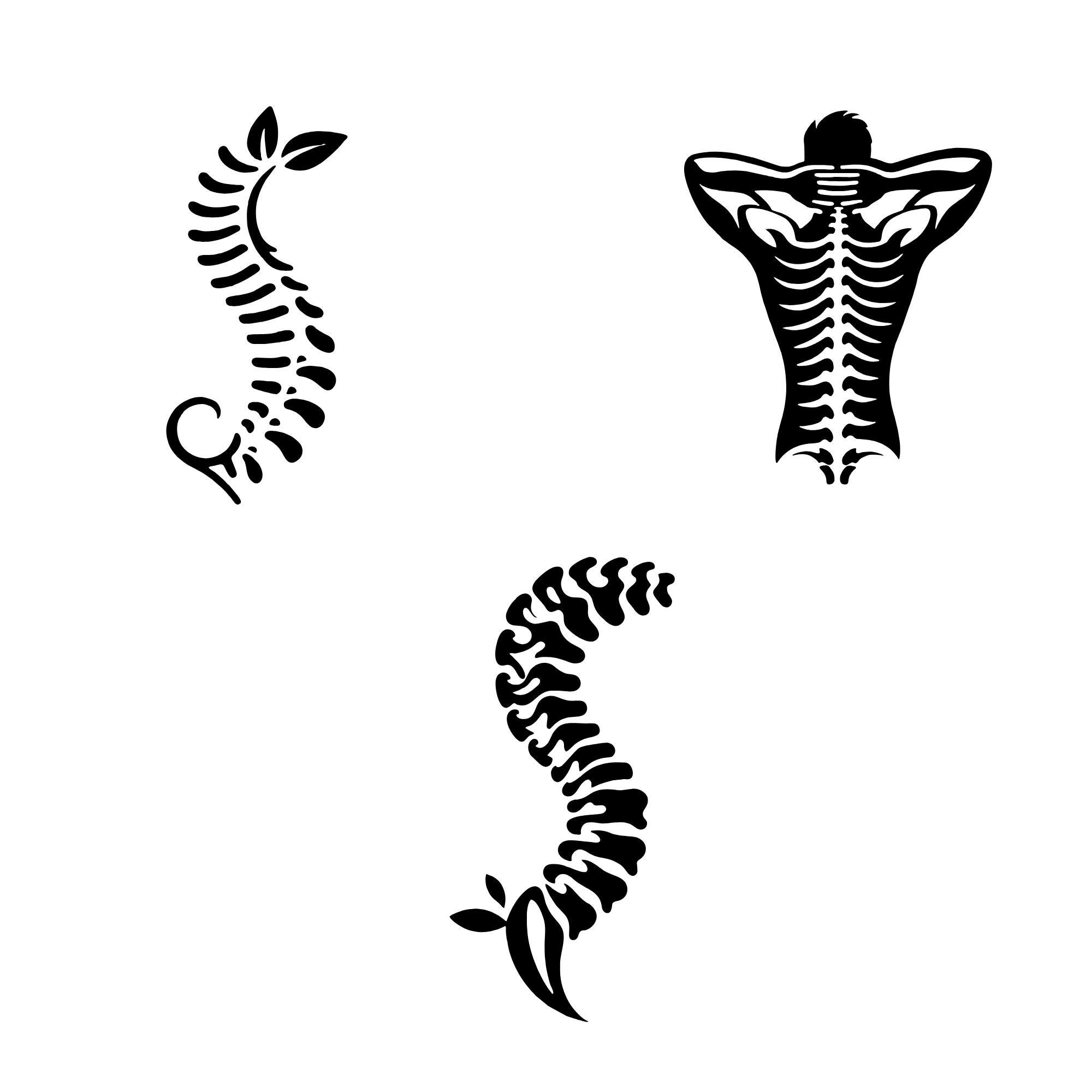 Anatomy Svg, Anatomy Spine Svg, Spine Svg, Cut File for Silhouette, Eps ...