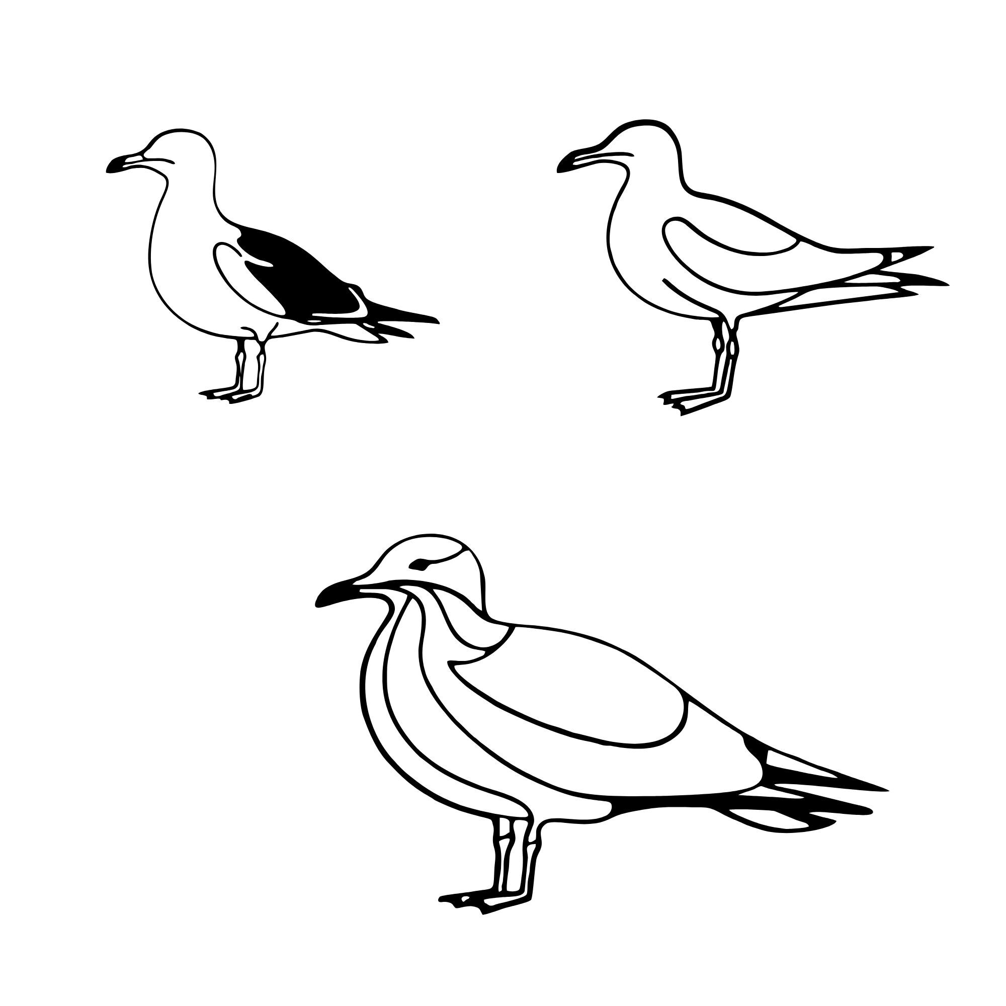 Seagull Svg Bundle, Bird Clipart, Coastal Vector, Seagull Decal, Sea ...