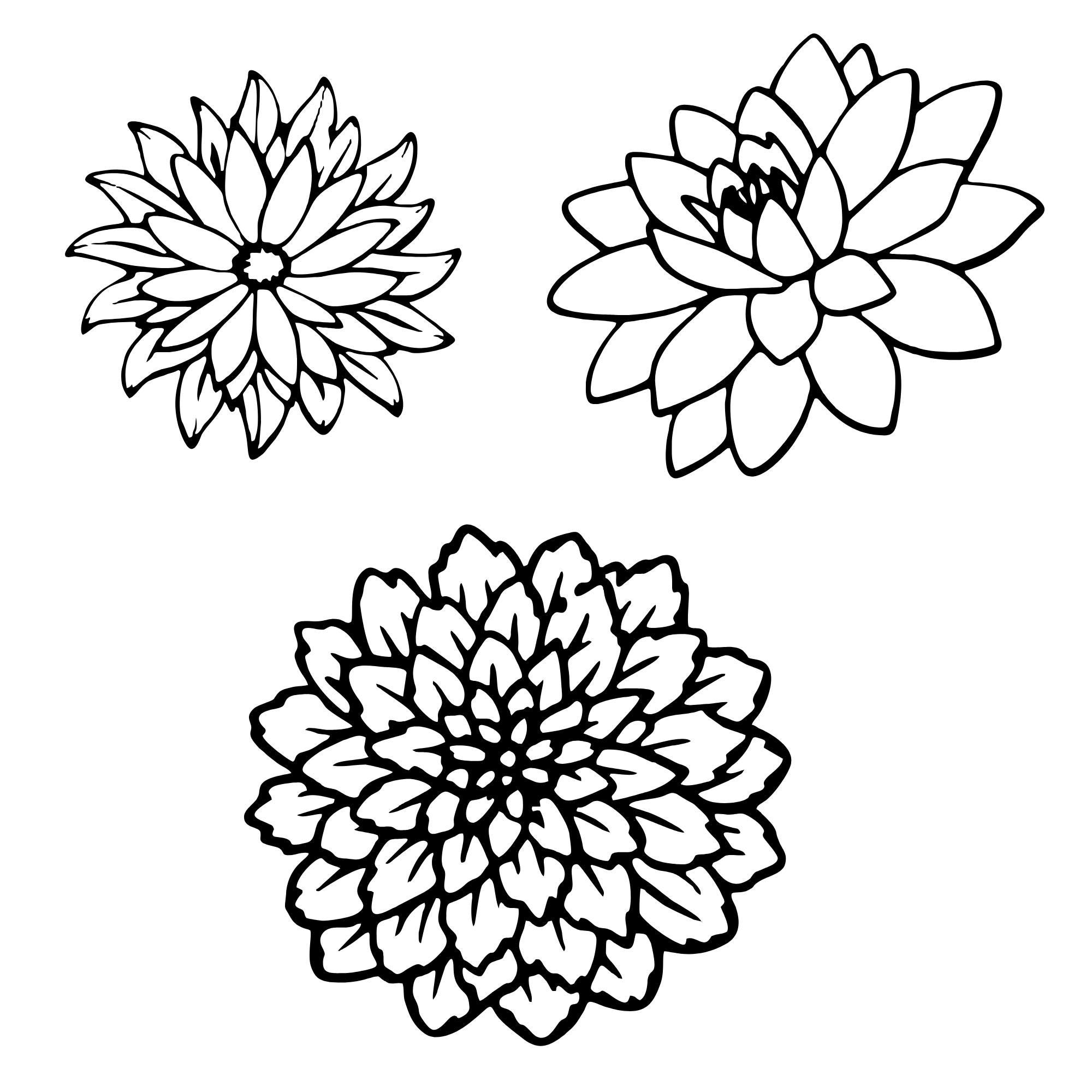 Dahlia Flower Svg Bundle, Flower Clipart, Dahlia Monogram Vector ...