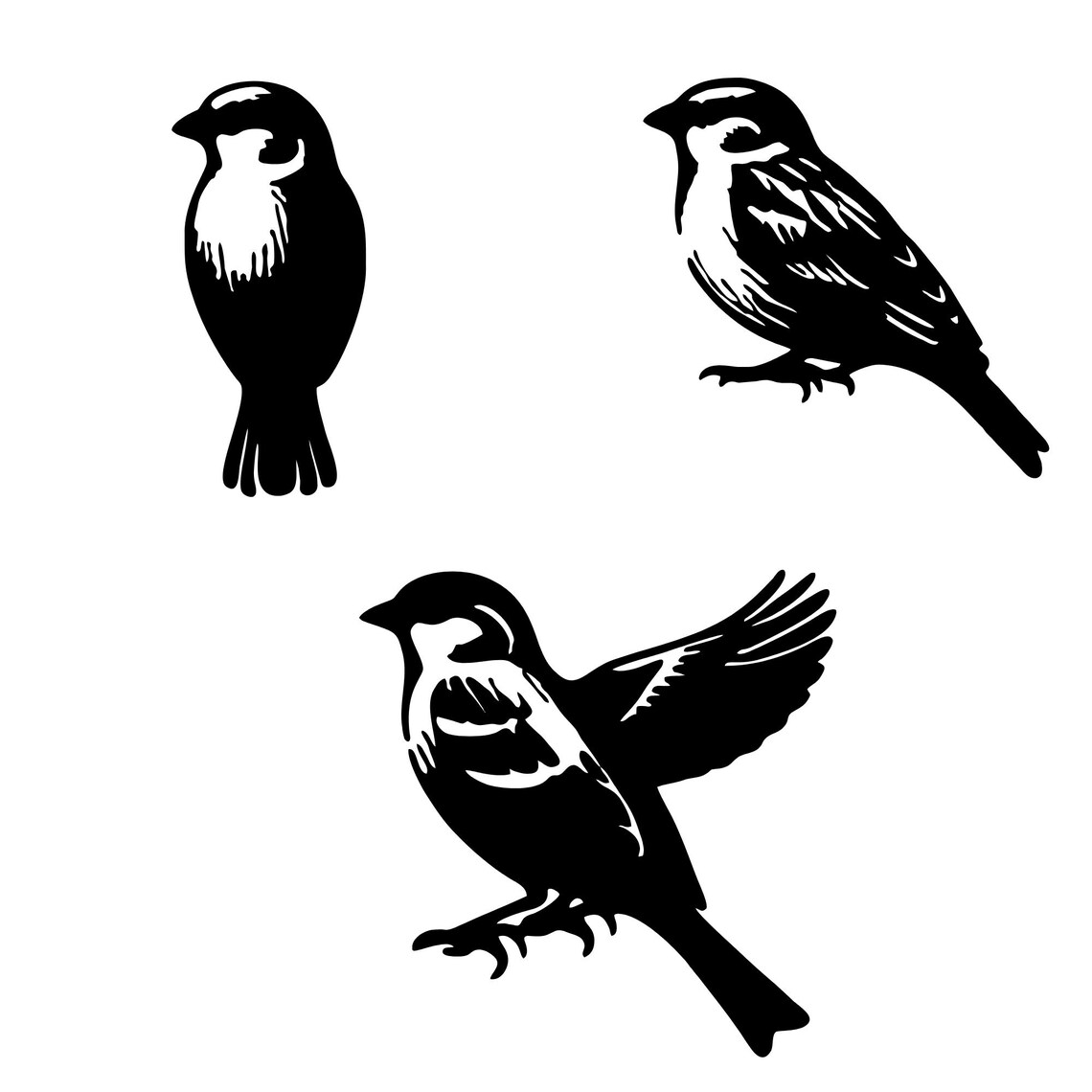 Goldfinch SVG Bundle, American Goldfinch Png, American Goldfinch Vector ...