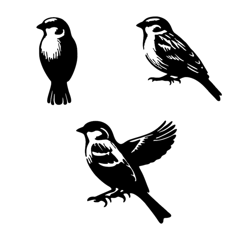 Goldfinch SVG Bundle, American Goldfinch Png, American Goldfinch Vector ...