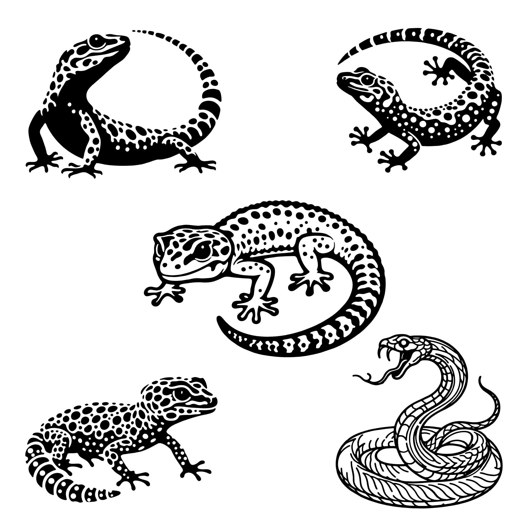 Reptiles SVG Bundle - Reptiles and Amphibians in SVG, Png, Dxf, or Eps ...