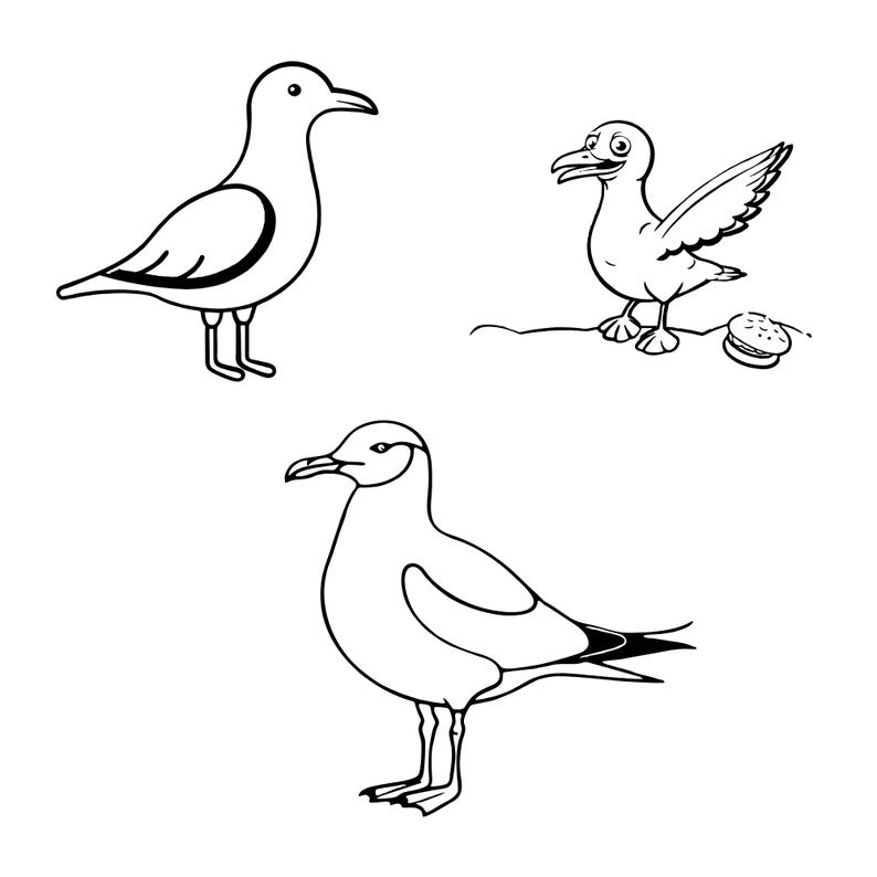 Seagull Svg Bundle, Bird Clipart, Coastal Vector, Seagull Decal, Sea ...