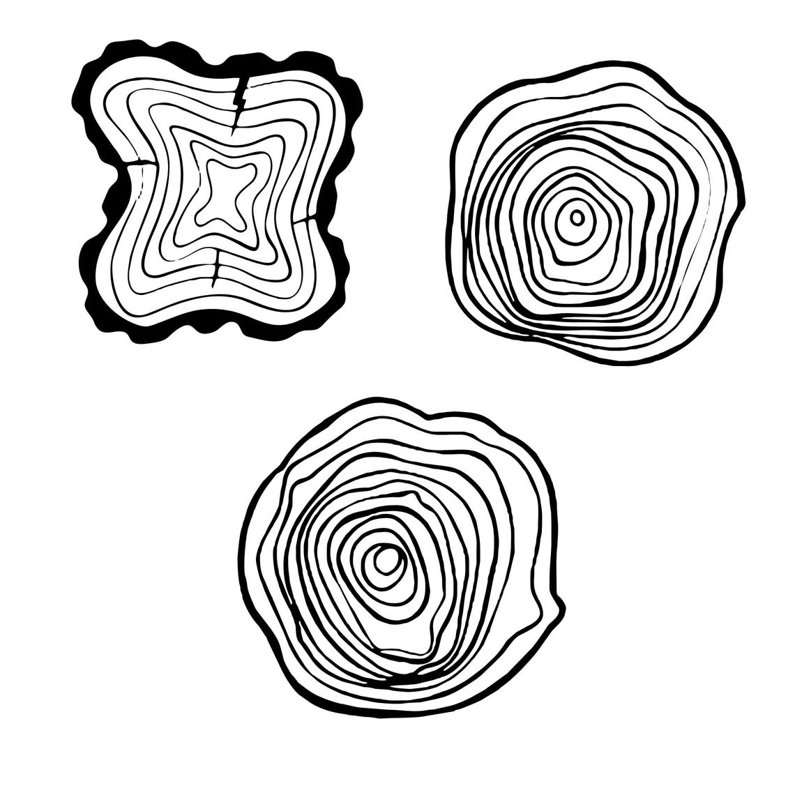 Wood Slice SVG Bundle, Tree Rings Svg, Wood Slice Dxf, Wood Slice Png ...