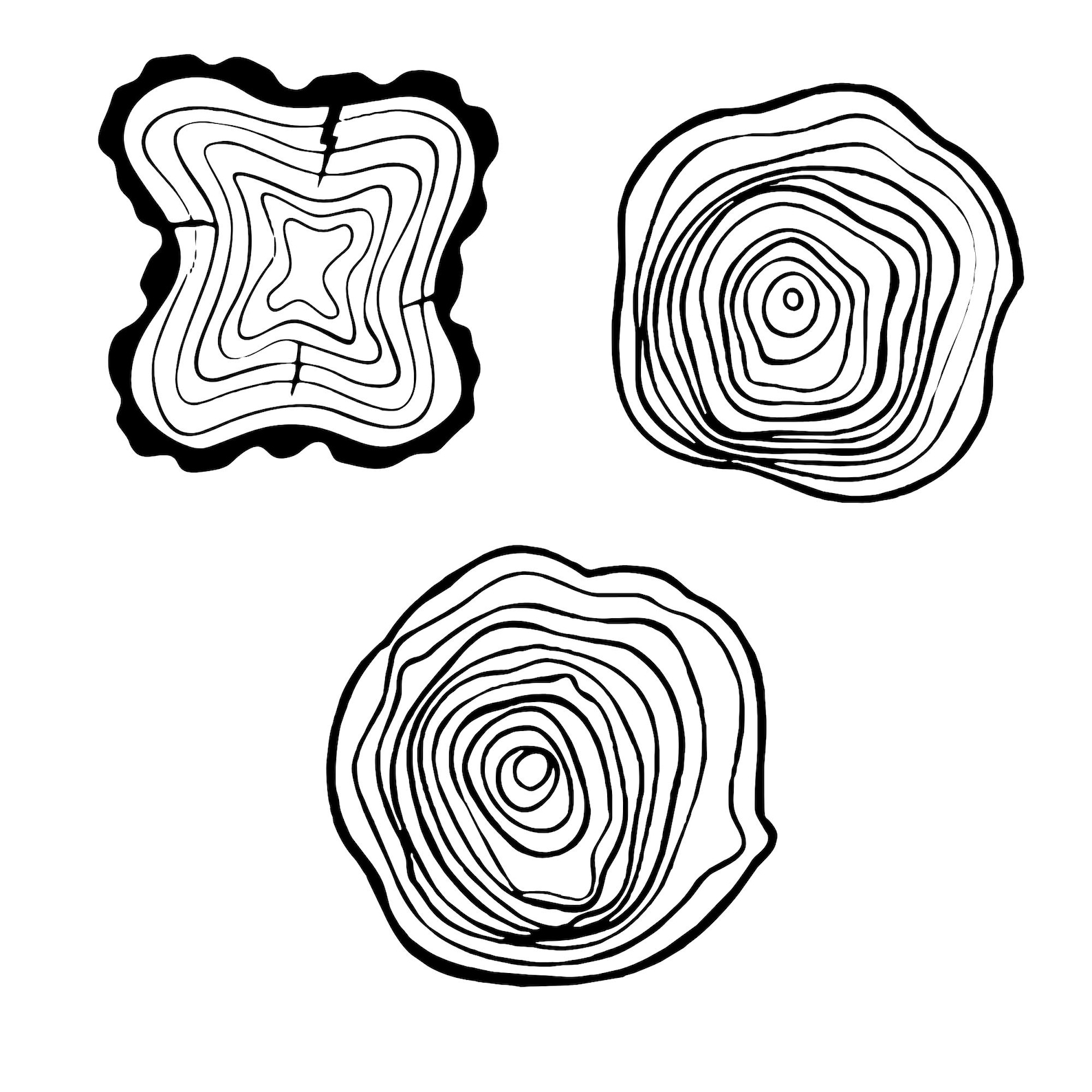 Wood Slice SVG Bundle, Tree Rings Svg, Wood Slice Dxf, Wood Slice Png ...