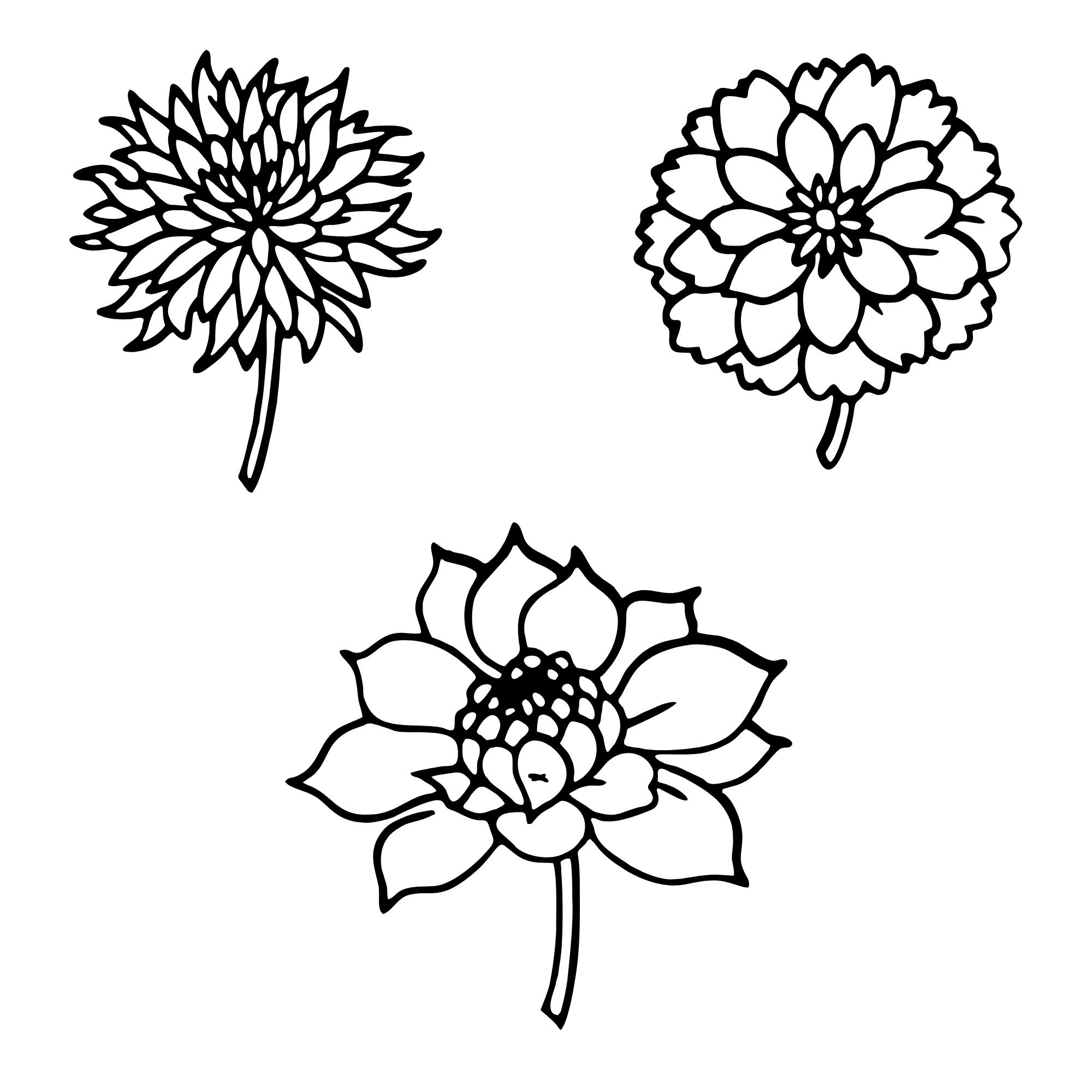 Dahlia Flower Svg Bundle, Flower Clipart, Dahlia Monogram Vector ...