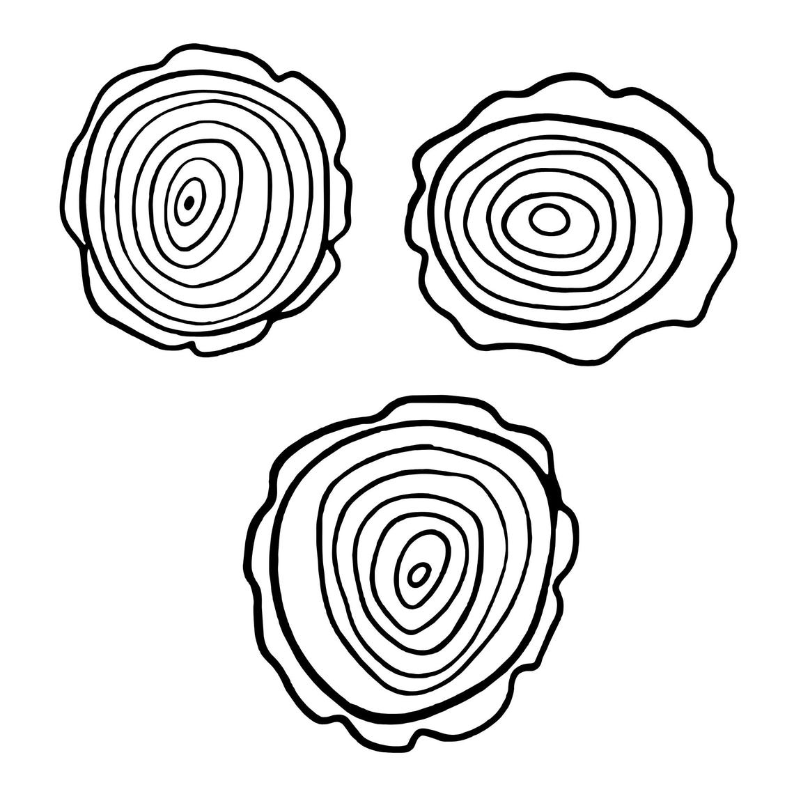 Wood Slice SVG Bundle, Tree Rings Svg, Wood Slice Dxf, Wood Slice Png ...