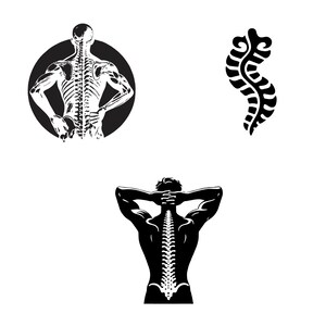 Anatomy Svg, Anatomy Spine Svg, Spine Svg, Cut File for Silhouette, Eps ...