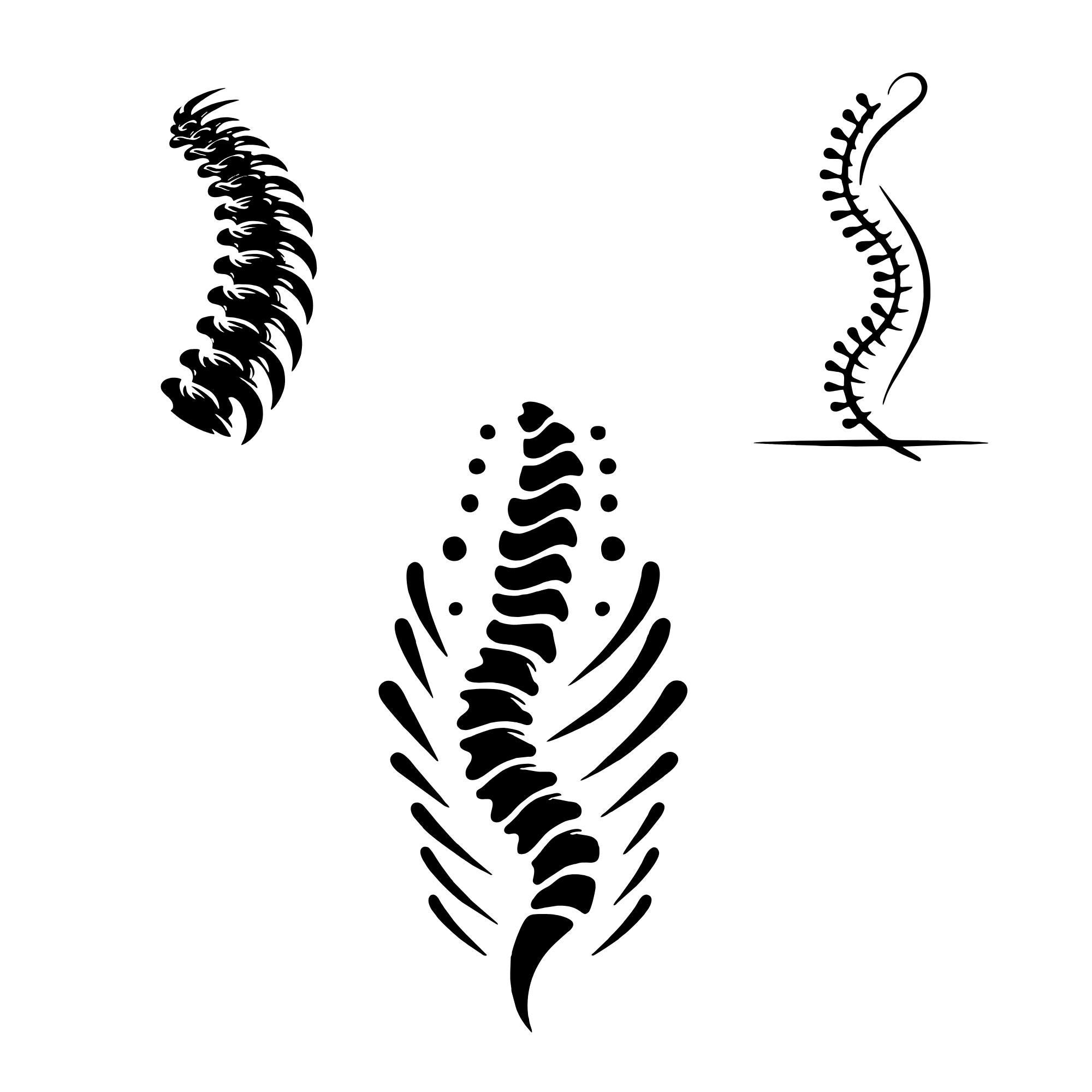 Anatomy Svg, Anatomy Spine Svg, Spine Svg, Cut File for Silhouette, Eps ...
