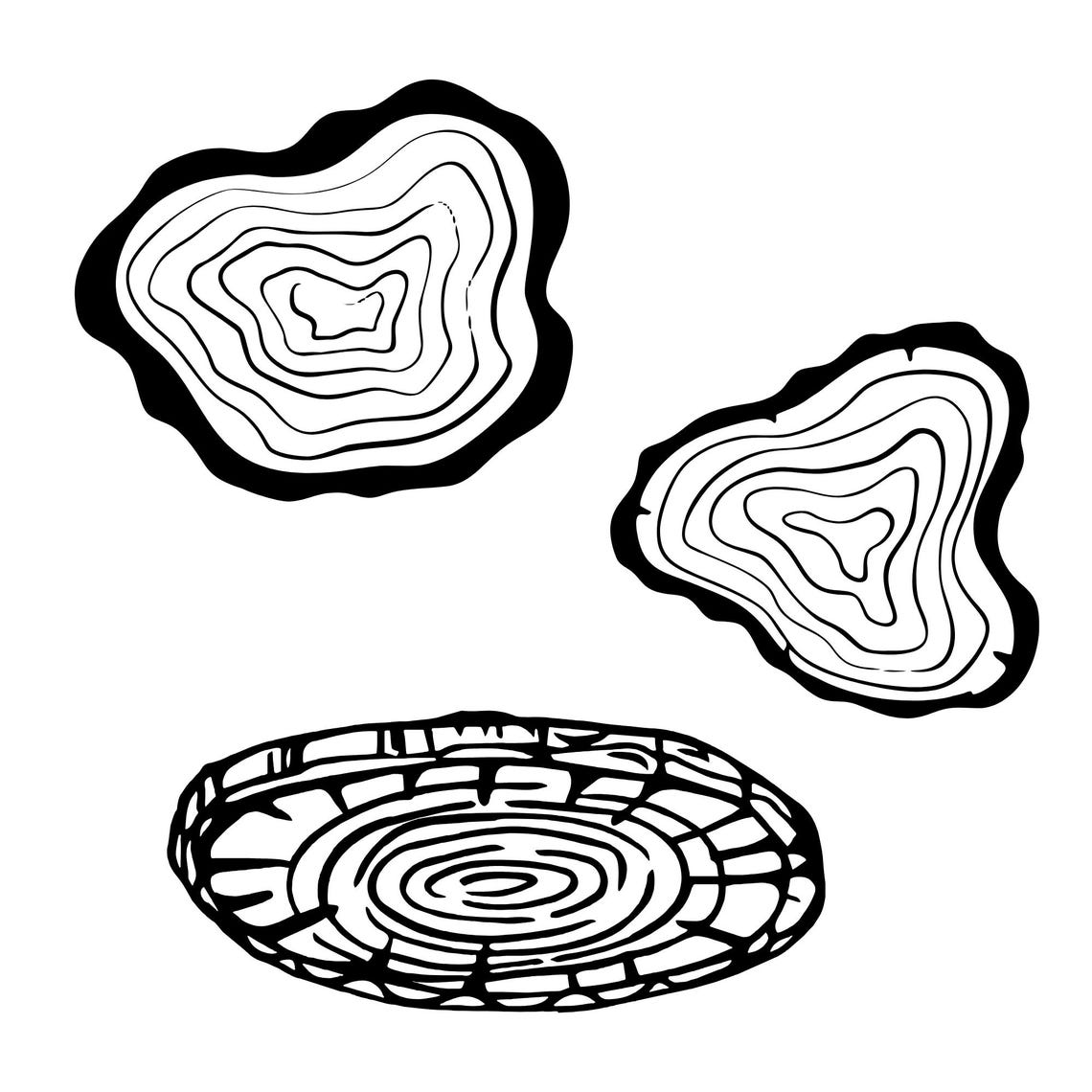 Wood Slice SVG Bundle, Tree Rings Svg, Wood Slice Dxf, Wood Slice Png ...