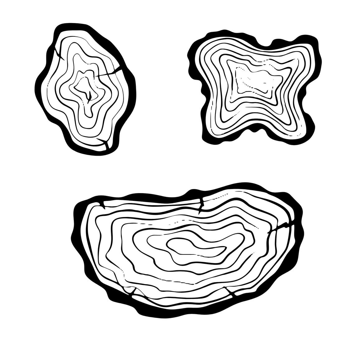 Wood Slice SVG Bundle, Tree Rings Svg, Wood Slice Dxf, Wood Slice Png ...