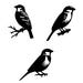 Goldfinch SVG Bundle, American Goldfinch Png, American Goldfinch Vector ...