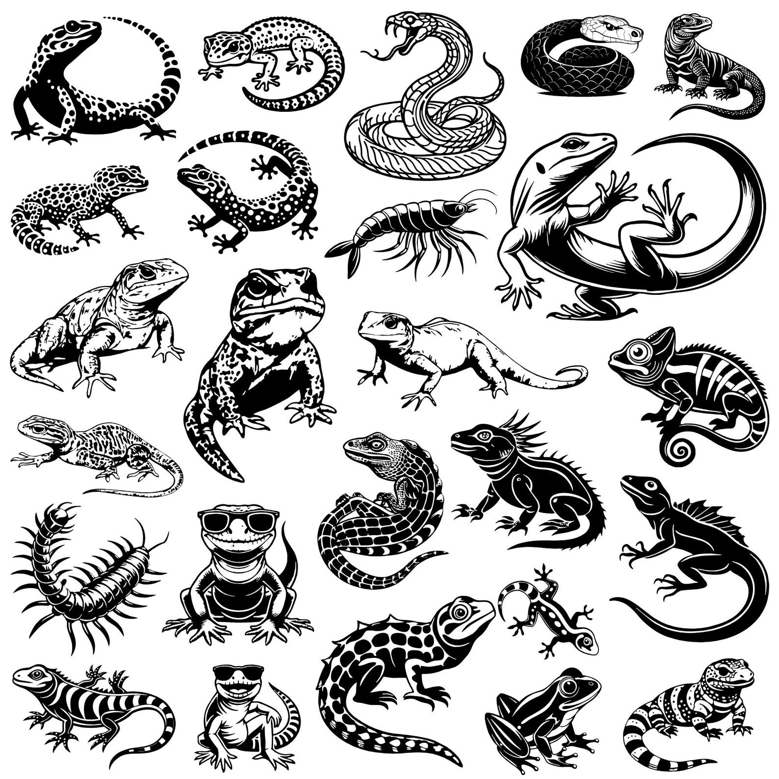 Reptiles SVG Bundle - Reptiles and Amphibians in SVG, Png, Dxf, or Eps ...