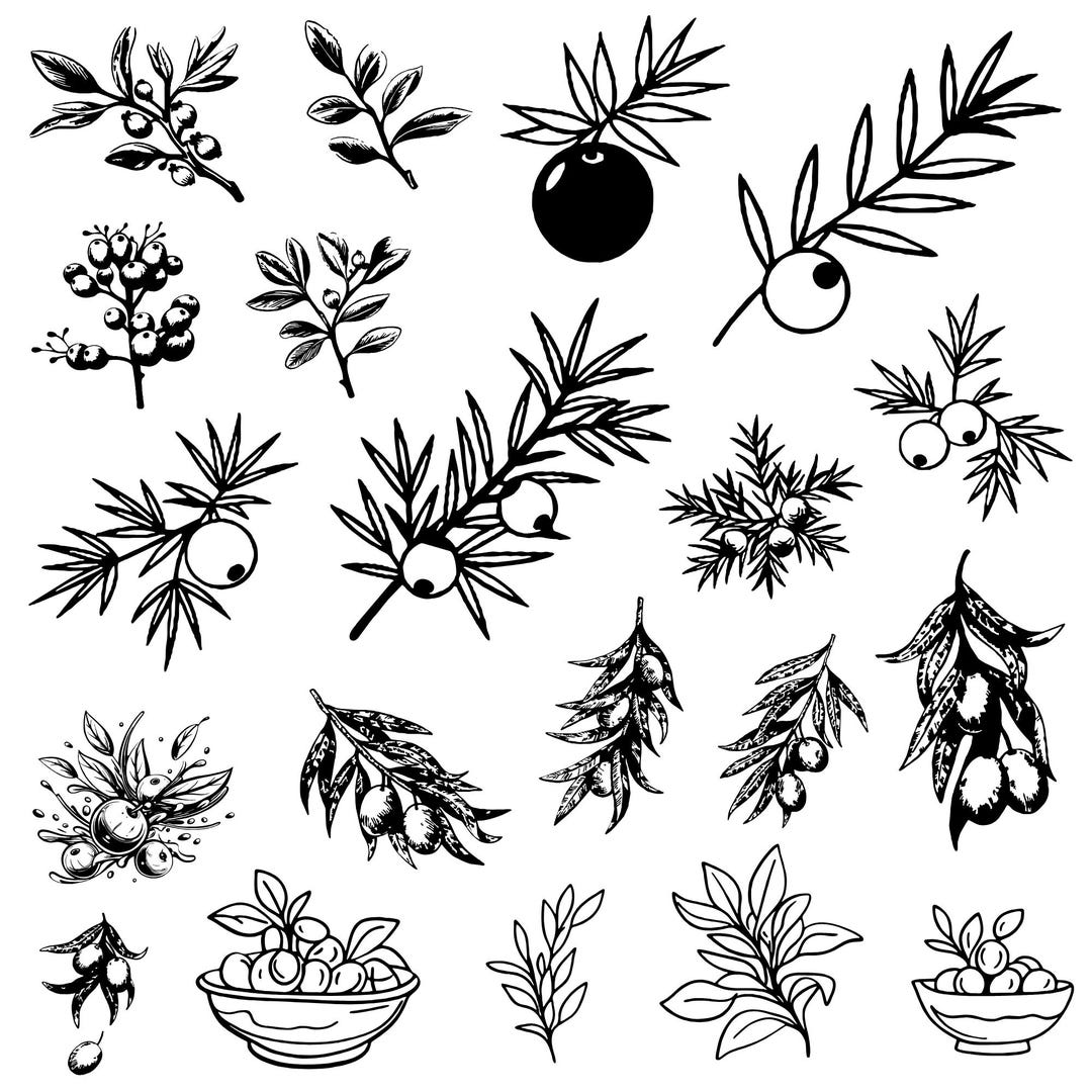 Olive Branch Svg Bundle, Olive Branch Clipart for Cricut, Olive Leaf ...