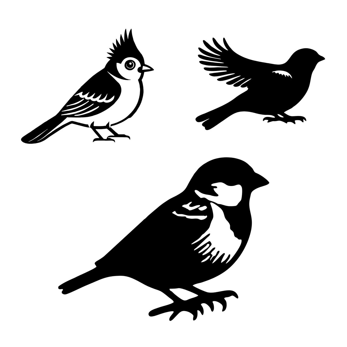 Goldfinch SVG Bundle, American Goldfinch Png, American Goldfinch Vector ...