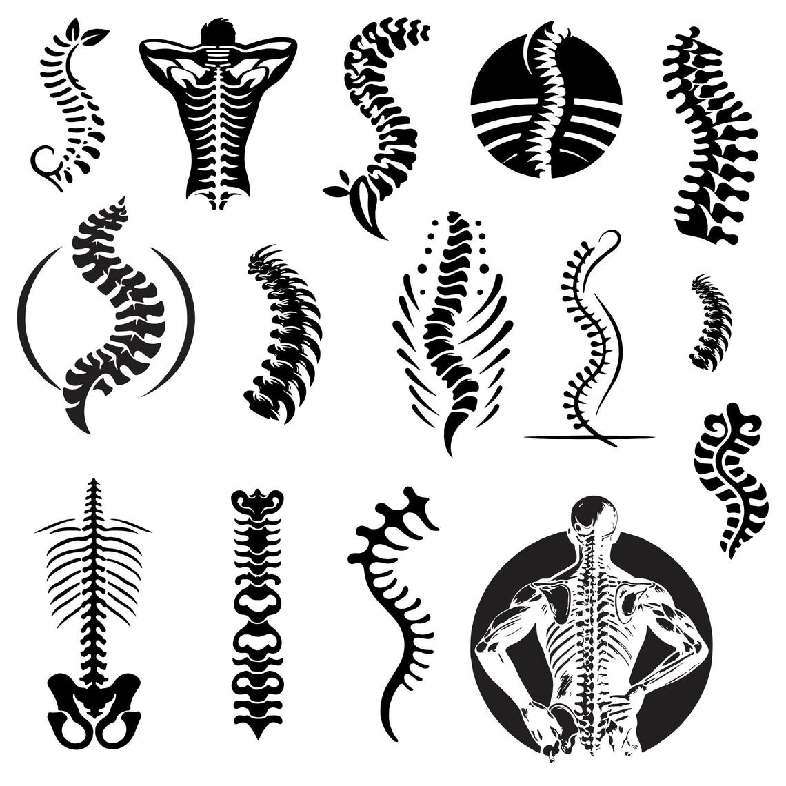 Anatomy Svg, Anatomy Spine Svg, Spine Svg, Cut File for Silhouette, Eps ...