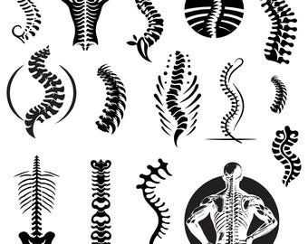 Anatomy Svg, Anatomy Spine Svg, Spine Svg, Cut File for Silhouette, Eps ...
