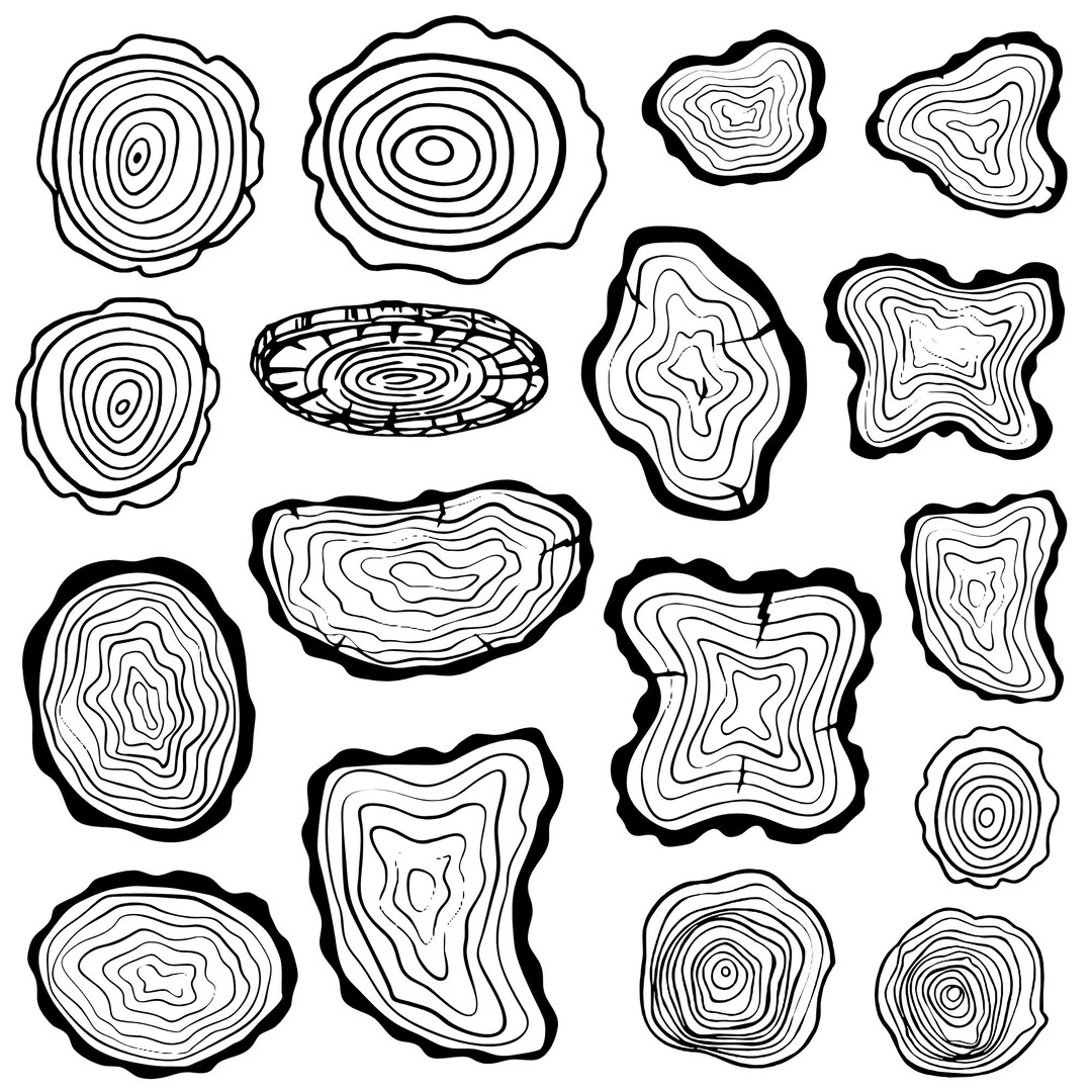 Wood Slice SVG Bundle, Tree Rings Svg, Wood Slice Dxf, Wood Slice Png ...