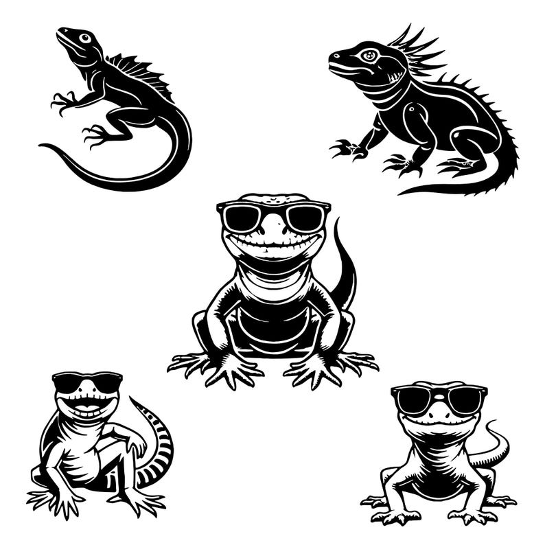Reptiles SVG Bundle - Reptiles and Amphibians in SVG, Png, Dxf, or Eps ...